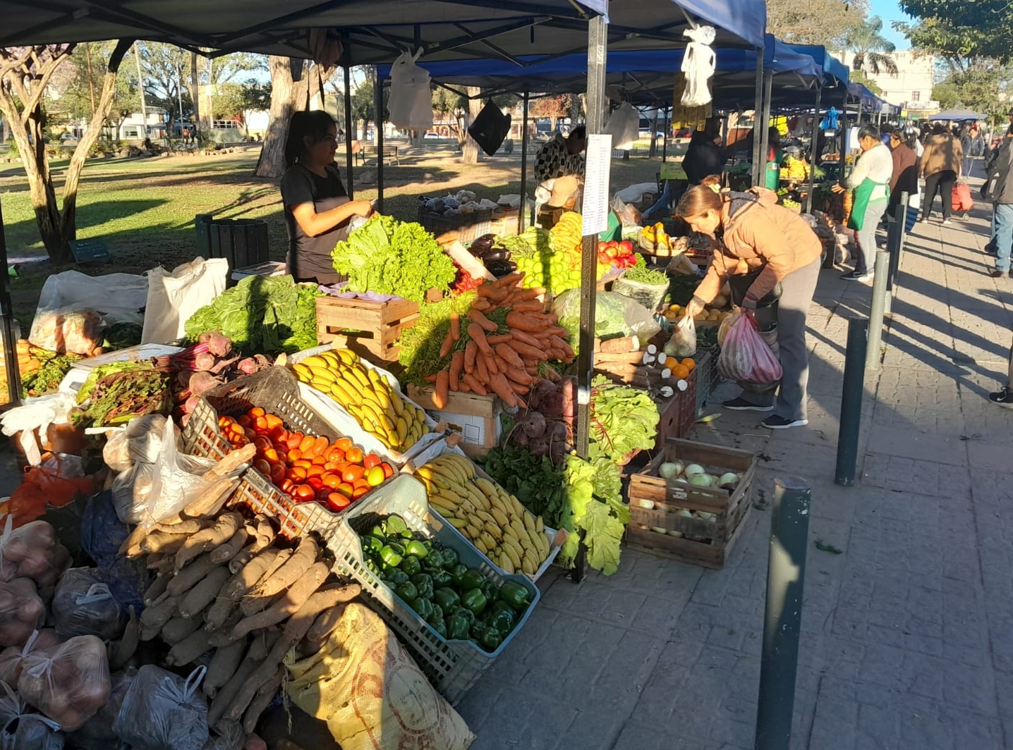 El feriazo de la UTT hoy en plaza San Martín. Precios - Radio Güemes